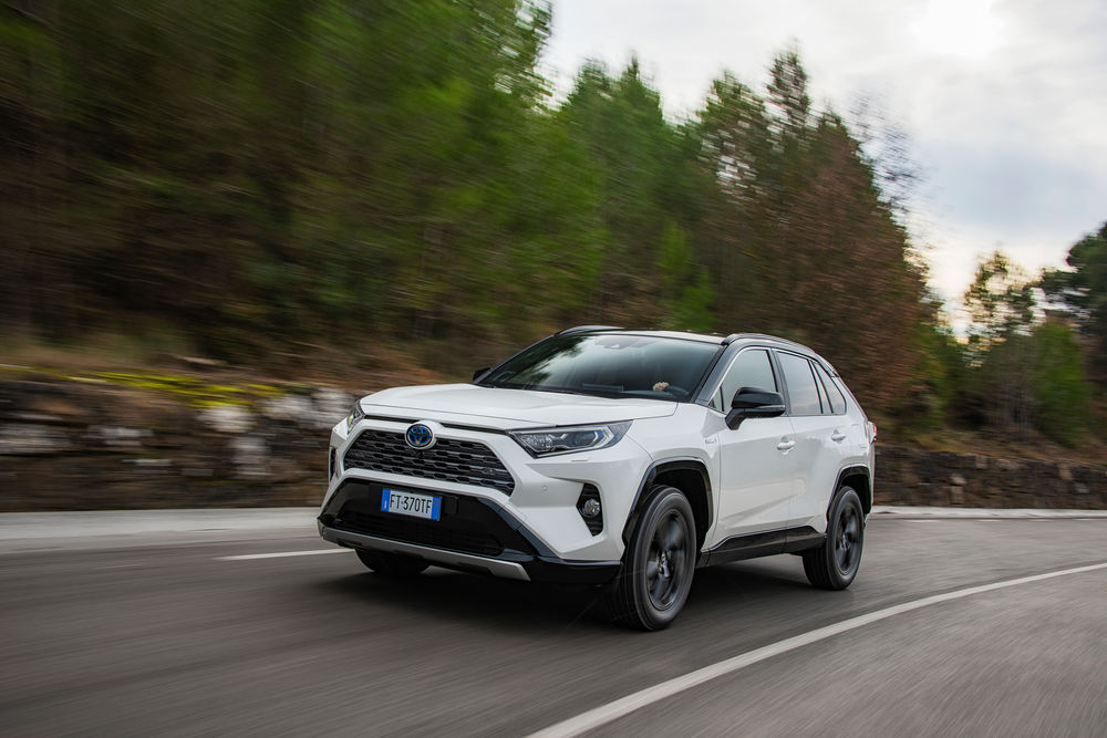 Dynamic_White_Bitone_Rav4_2019_20.JPG